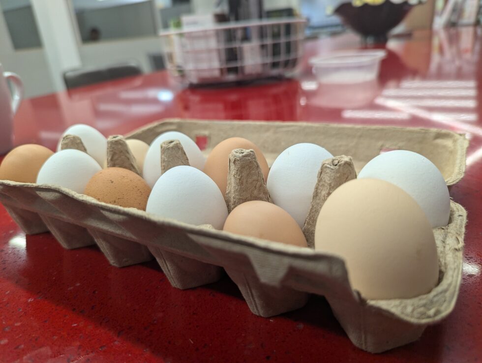 Ham, eggs, and politics will be on the menu Thursday at the Missouri ...