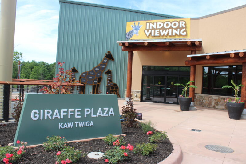 Giraffe Crossing debut is just one way the KC Zoo and Aquarium holds ...